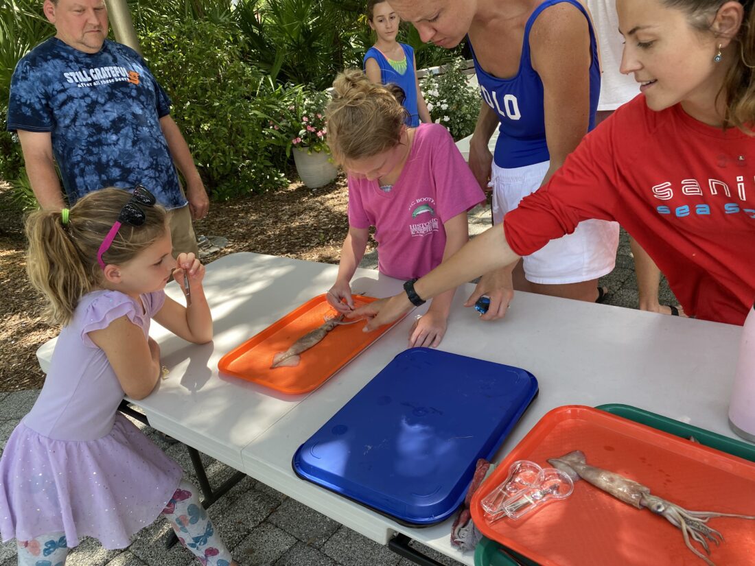 Sanibel library reading program called a success - SANIBEL-CAPTIVA ...